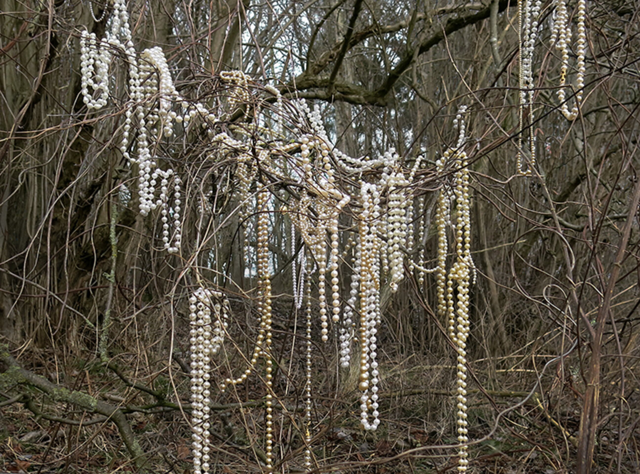 Bernhard Prinz - Photographer - Bernhard Knaus Fine Art : B. Knaus Fine Art